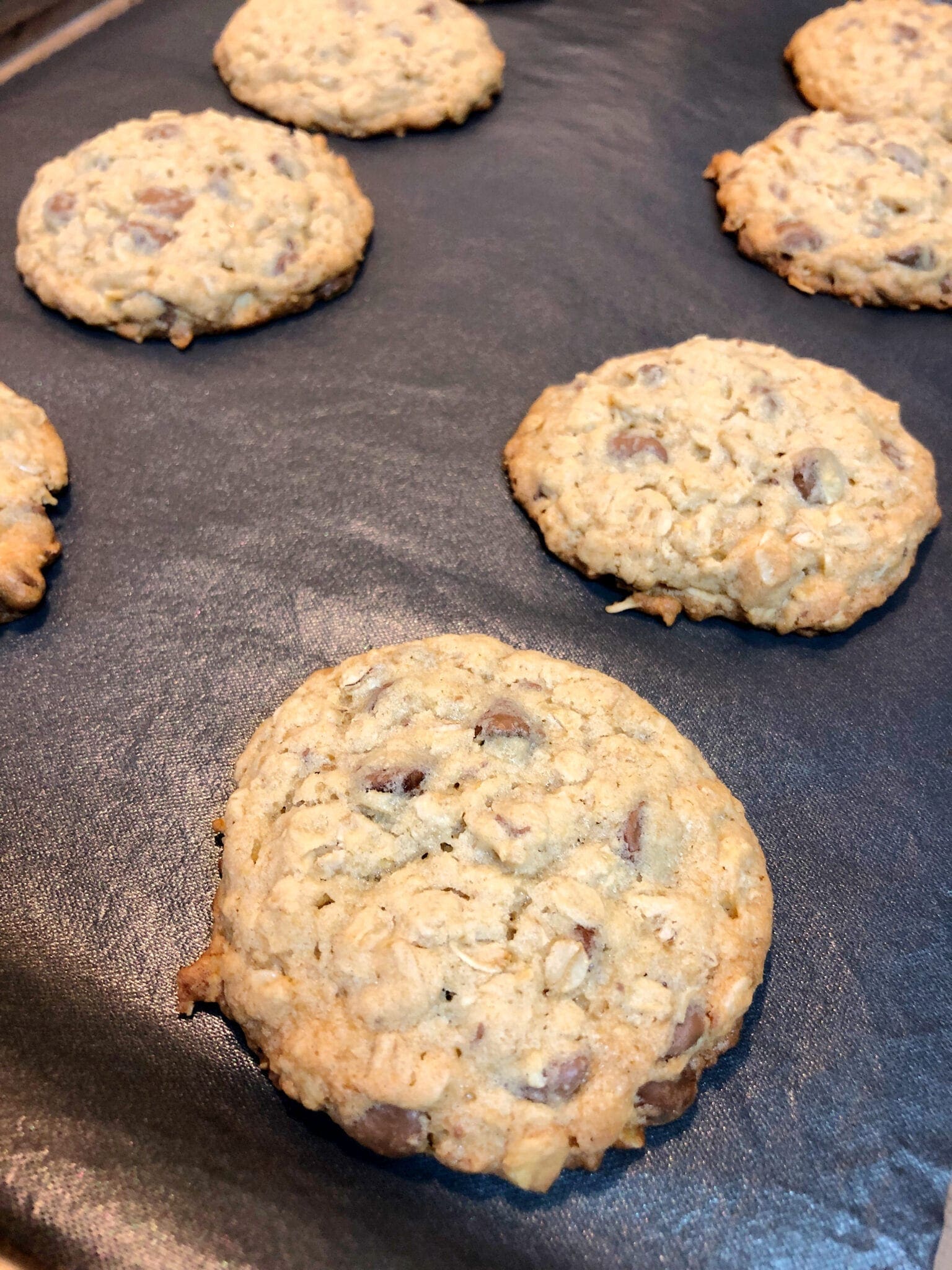 Blue Ribbon Oatmeal Chocolate Chip Cookies - Wholesome Farmhouse Recipes