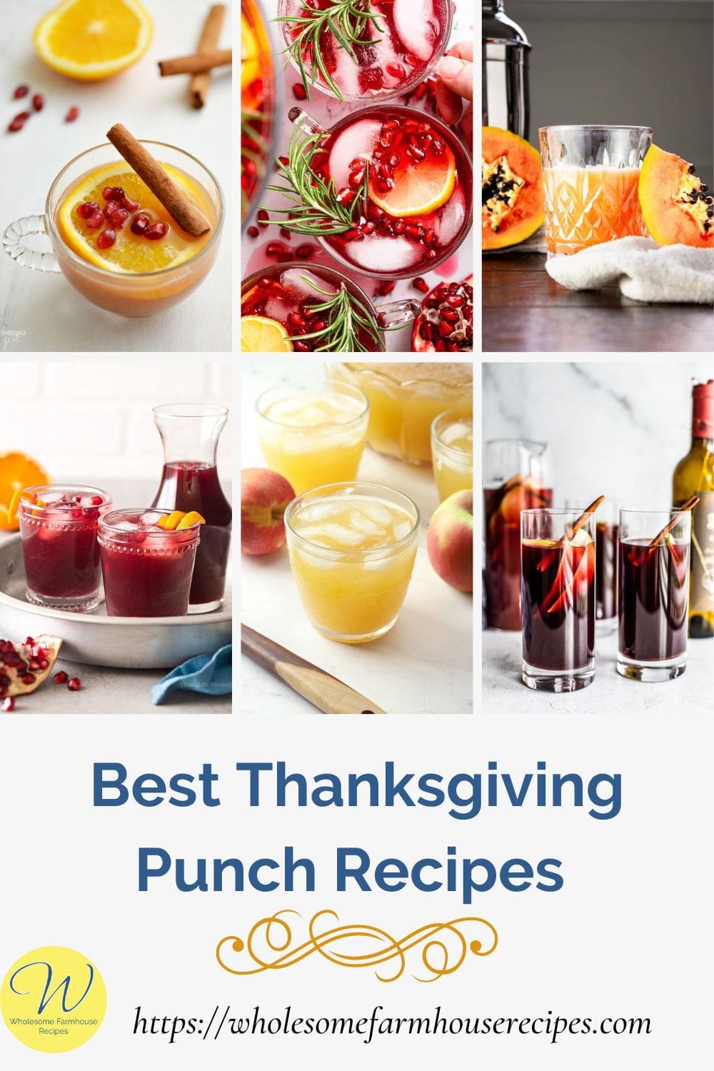 Best Thanksgiving Punch Recipes Real Crowd Pleasers - Wholesome ...