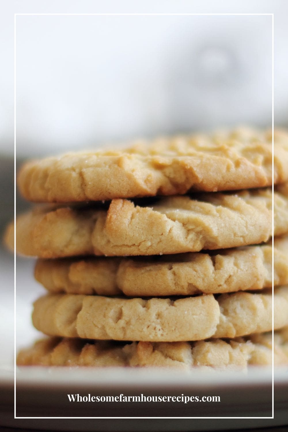 What is the Secret to Bakery Cookies? The Best Tips - Wholesome ...
