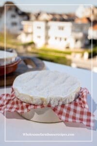 Whipped Cream Cheese VS Regular Cream Cheese - Wholesome Farmhouse Recipes