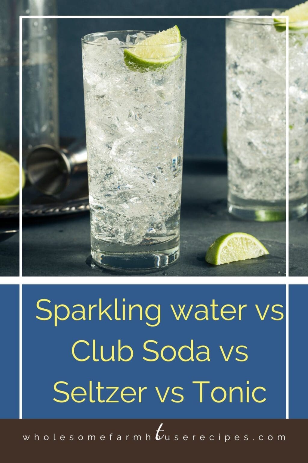 Sparkling water vs Club Soda vs Seltzer vs Tonic - Wholesome Farmhouse Recipes