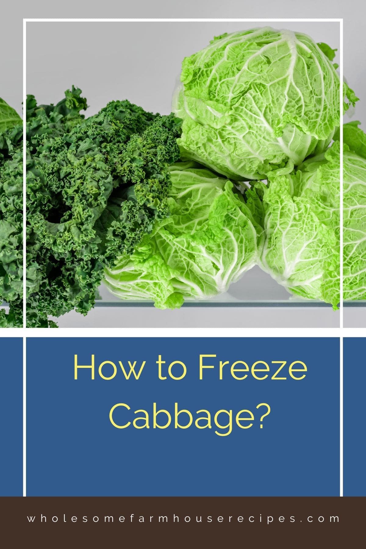 How To Tell If Cabbage Is Bad the Ultimate Guide - Wholesome Farmhouse ...