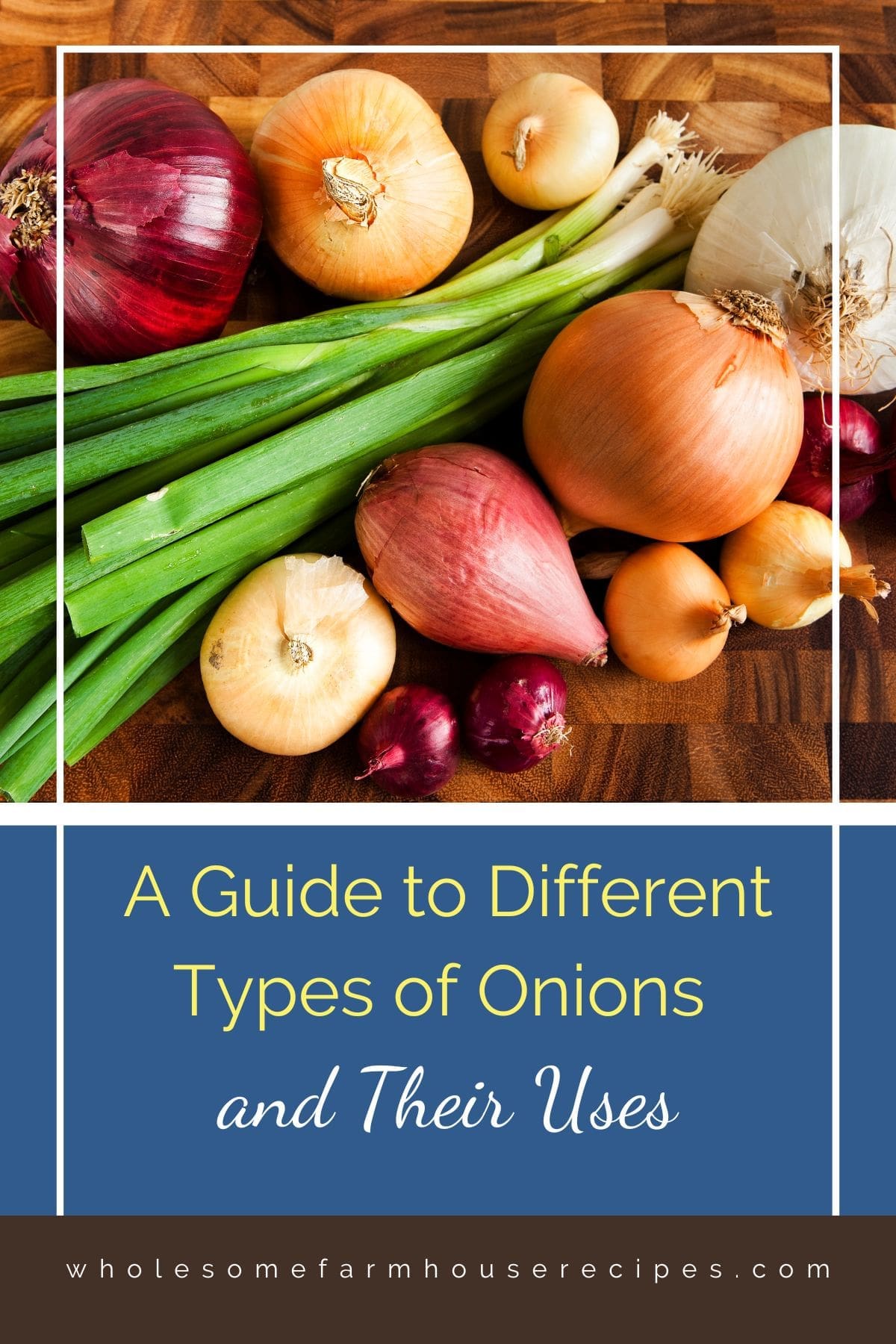 A Guide to Different Types of Onions and Their Uses - Wholesome ...