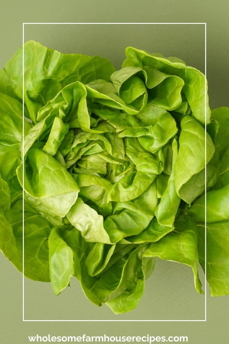 Butter Lettuce vs Boston Lettuce, How to Choose - Wholesome Farmhouse Recipes