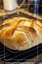 Easy 40-Minute Homemade Bread Recipe: Quick Rise - Wholesome Farmhouse ...
